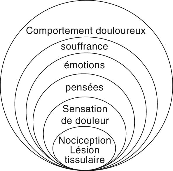 Bases neurophysiologiques, mécanismes physiopathologiques d'une douleur ...