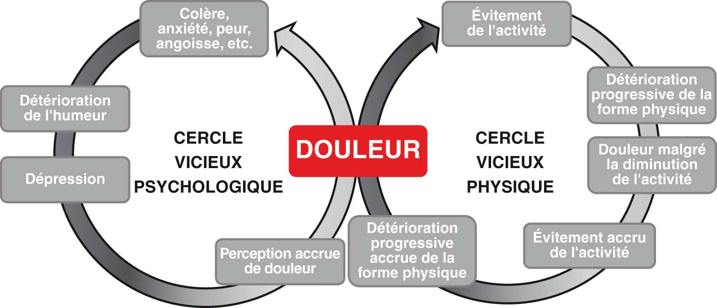Bases neurophysiologiques, mécanismes physiopathologiques d'une douleur ...
