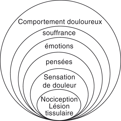 Bases neurophysiologiques, mécanismes physiopathologiques d'une douleur ...