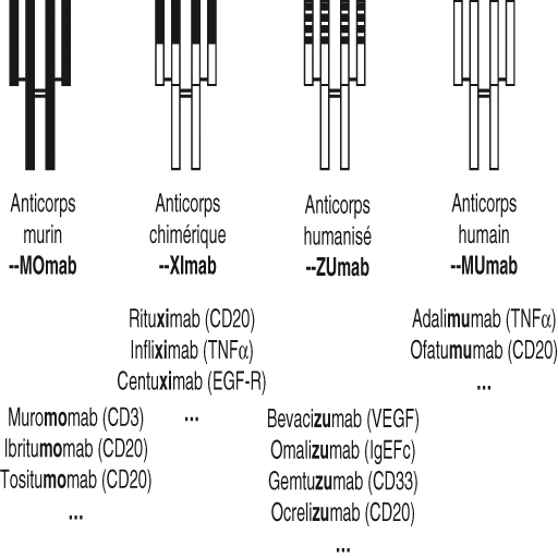 Biothérapies et thérapies ciblées
